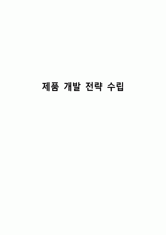 제품 개발 전략 수립