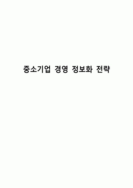 중소기업 경영 정보화 전략