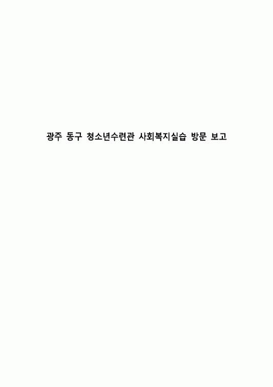 광주 동구 청소년수련관 사회복지실습 방문 보고