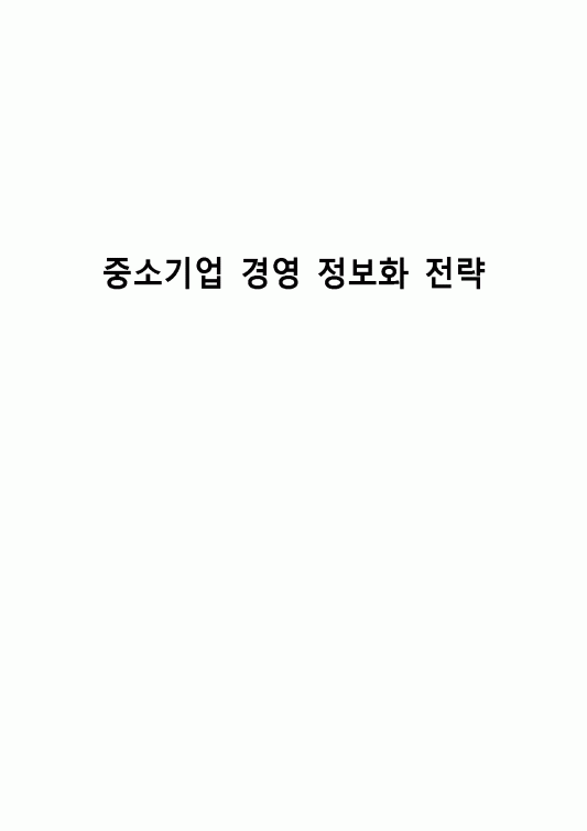 중소기업 경영 정보화 전략