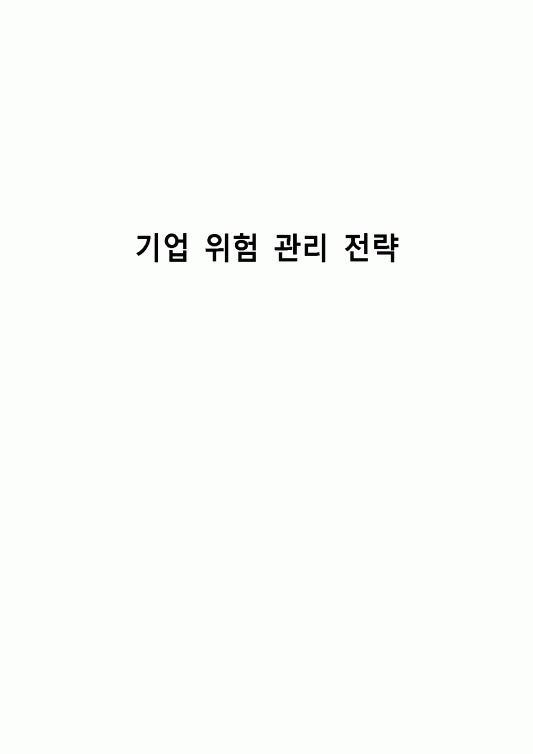 기업 위험 관리 전략