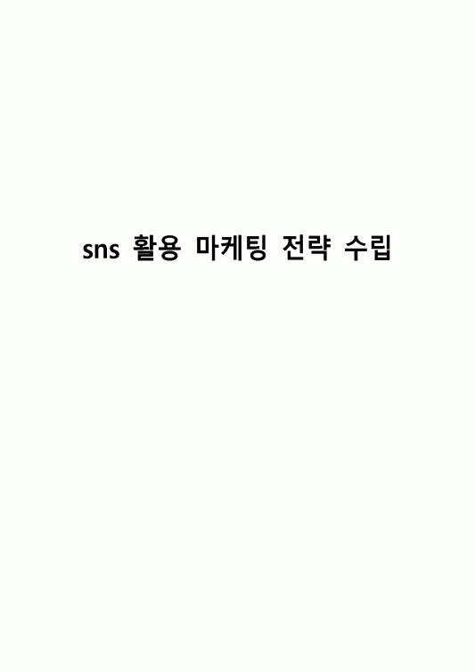 sns 활용 마케팅 전략 수립