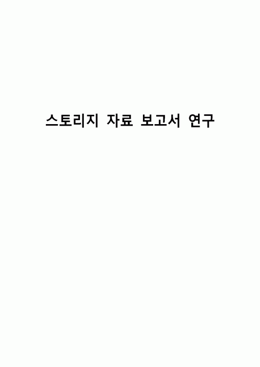 스토리지 자료 보고서 연구