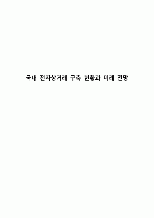 국내 전자상거래 구축 현황과 미래 전망