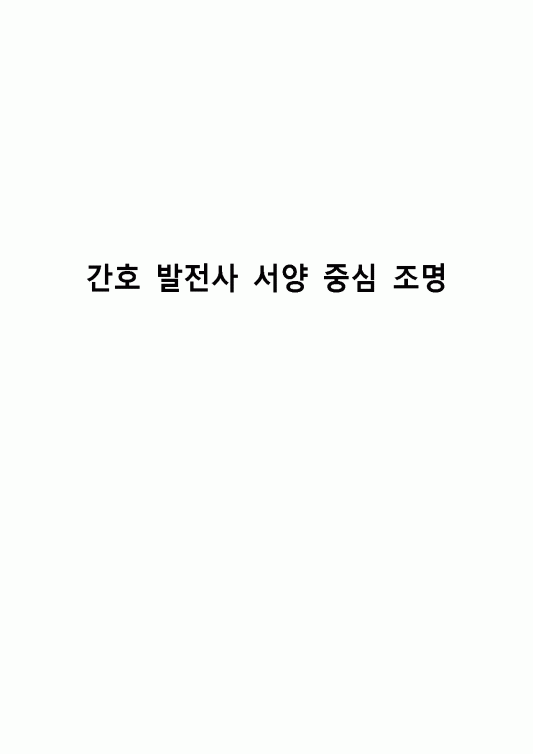 간호 발전사 서양 중심 조명