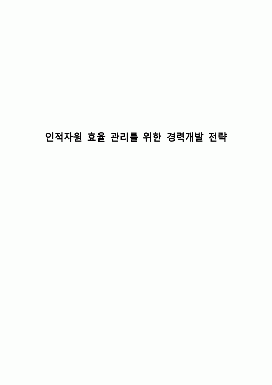 인적자원 효율 관리를 위한 경력개발 전략