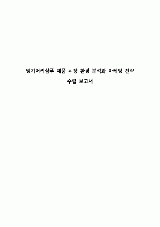 댕기머리샴푸 제품 시장 환경 분석과 마케팅 전략 수립 보고서