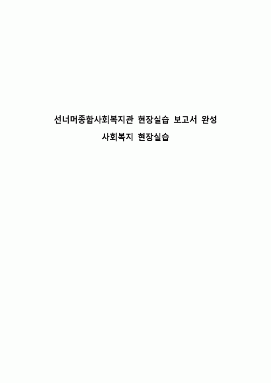 선너머종합사회복지관 현장실습 보고서 완성 사회복지 현장실습