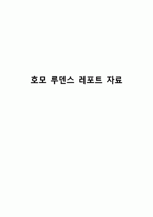 호모 루덴스 레포트 자료