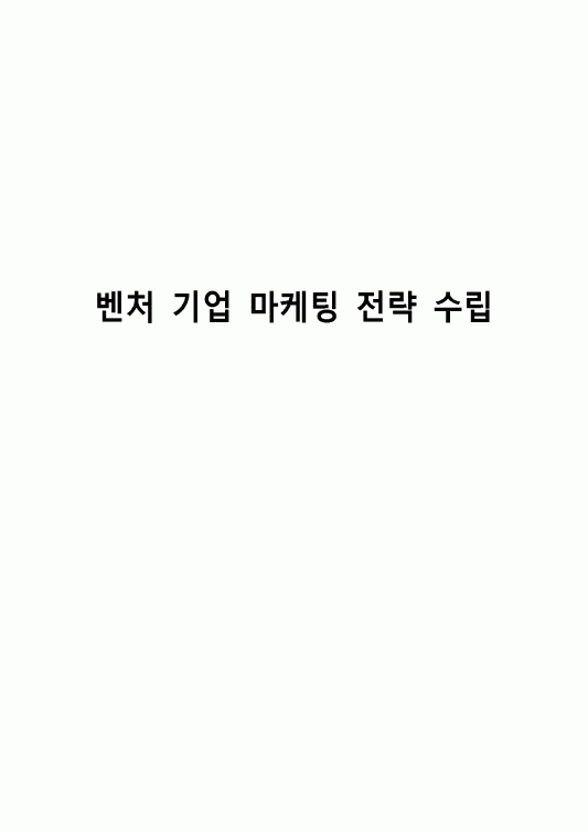 벤처 기업 마케팅 전략 수립