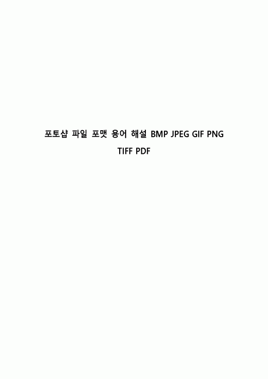 포토샵 파일 포맷 용어 해설 BMP JPEG GIF PNG TIFF PDF