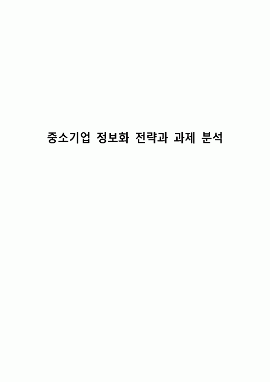 중소기업 정보화 전략과 과제 분석