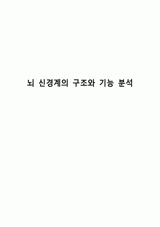 뇌 신경계의 구조와 기능 분석
