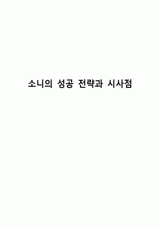 소니의 성공 전략과 시사점