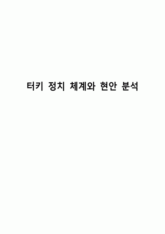 터키 정치 체계와 현안 분석