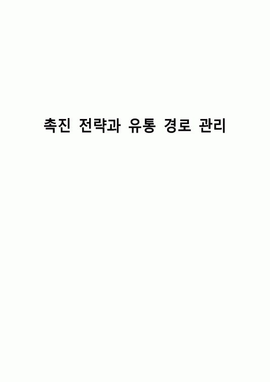 촉진 전략과 유통 경로 관리