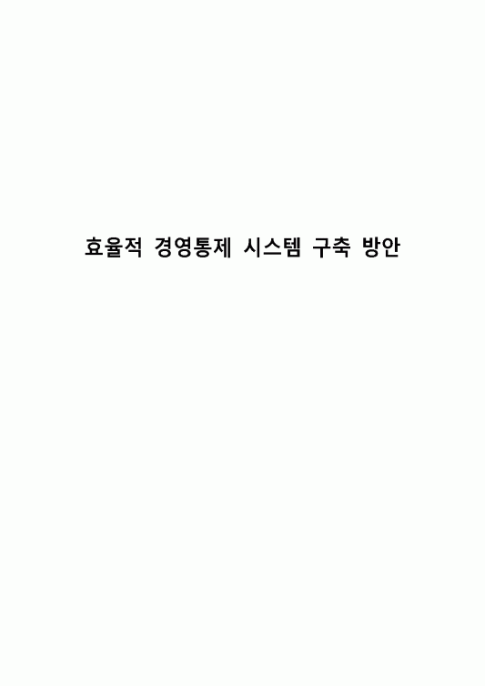 효율적 경영통제 시스템 구축 방안