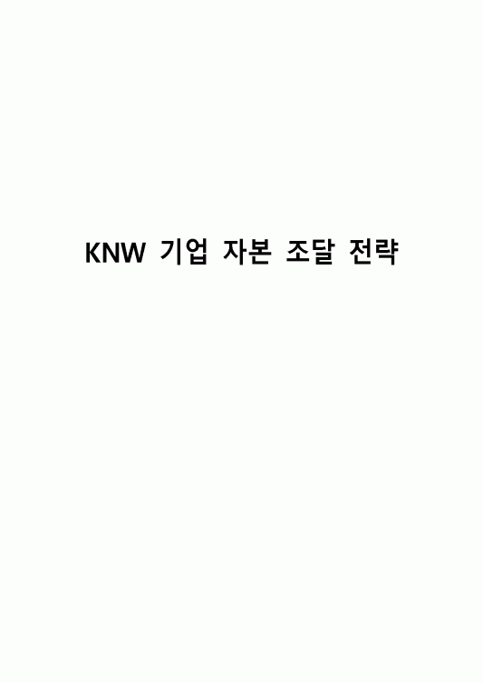KNW 기업 자본 조달 전략