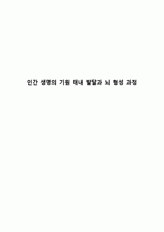 인간 생명의 기원 태내 발달과 뇌 형성 과정