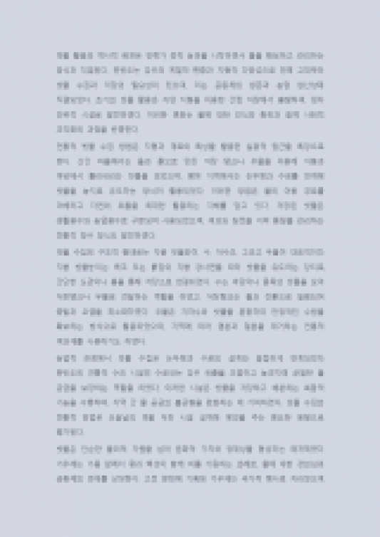 4쪽 미리보기