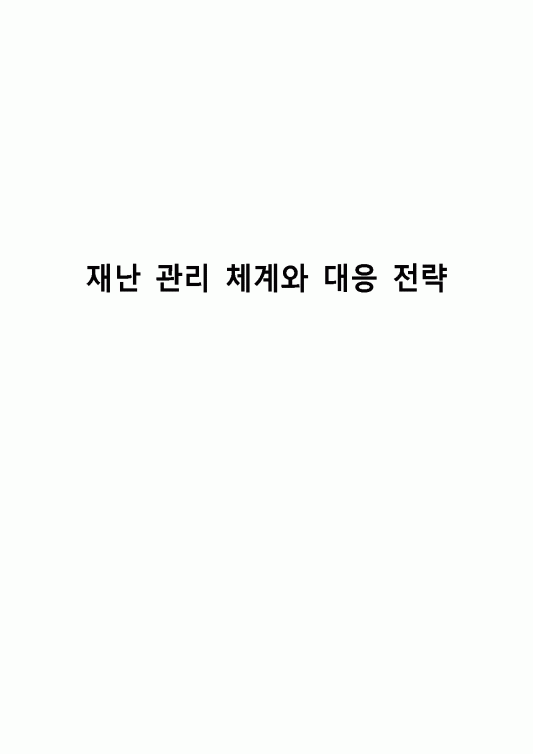 재난 관리 체계와 대응 전략