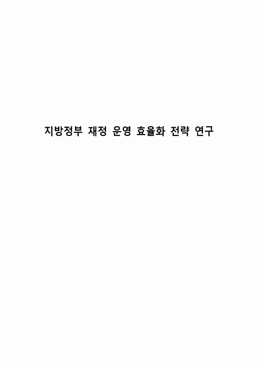 지방정부 재정 운영 효율화 전략 연구