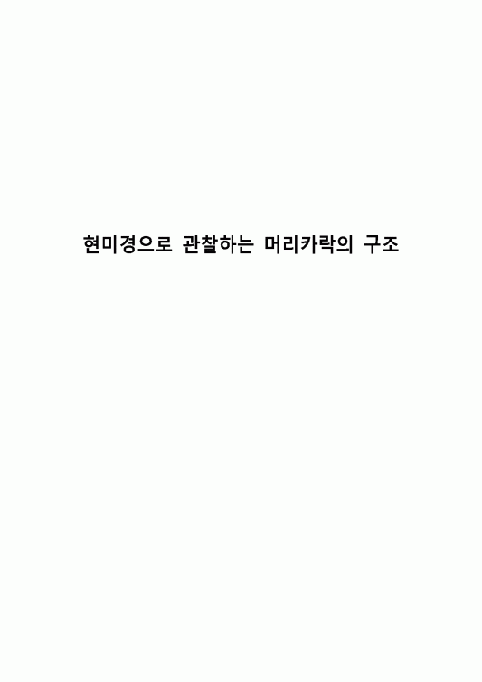 1쪽 미리보기