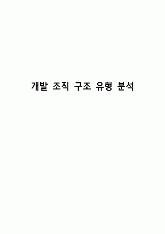 개발 조직 구조 유형 분석