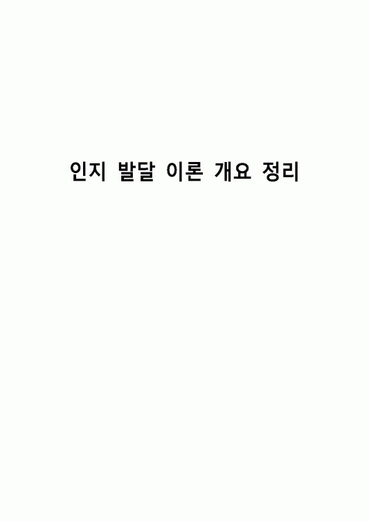 인지 발달 이론 개요 정리