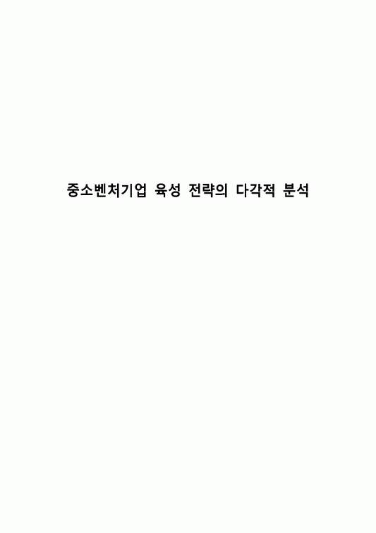 중소벤처기업 육성 전략의 다각적 분석