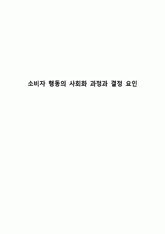 소비자 행동의 사회화 과정과 결정 요인