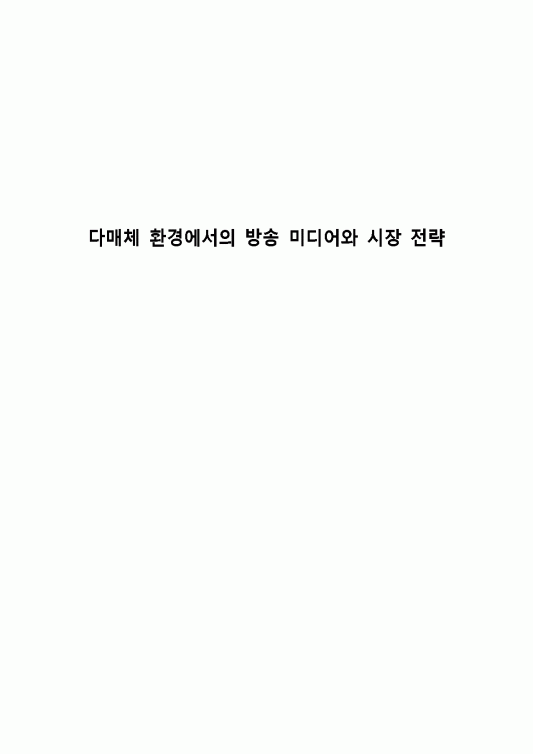 다매체 환경에서의 방송 미디어와 시장 전략