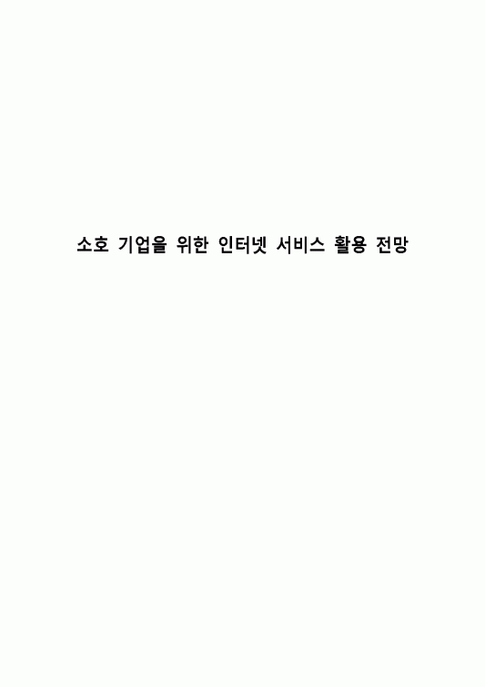 소호 기업을 위한 인터넷 서비스 활용 전망