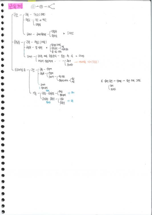 체육 임용고시 전공B 교과내용학 운동생리학 근육계와 트레이닝