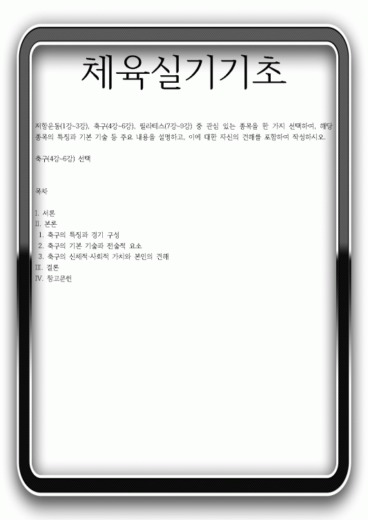 체육실기기초 축구의 특징과 경기 구성