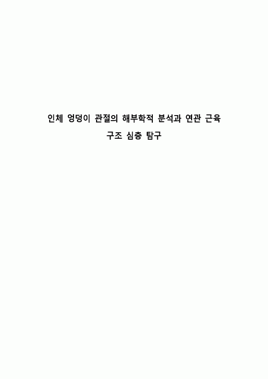 인체 엉덩이 관절의 해부학적 분석과 연관 근육 구조 심층 탐구