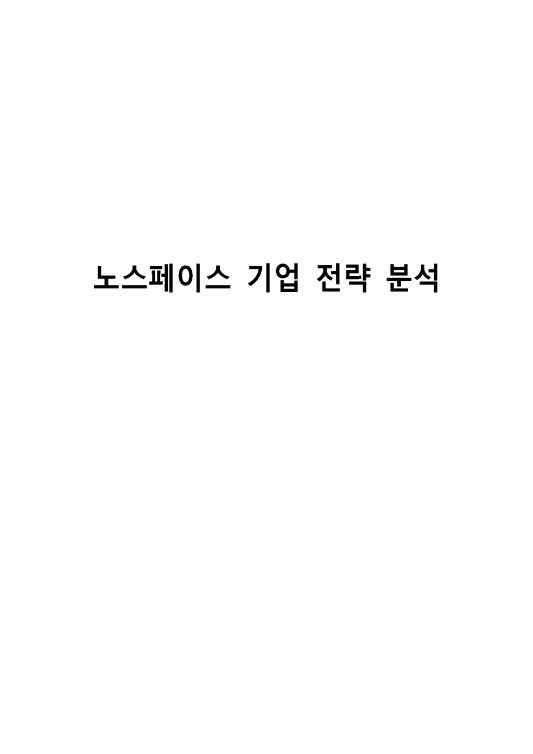 노스페이스 기업 전략 분석