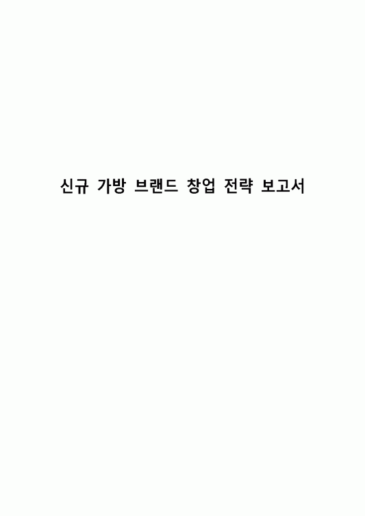 신규 가방 브랜드 창업 전략 보고서
