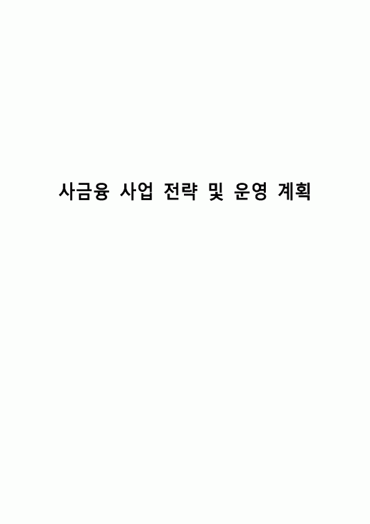 사금융 사업 전략 및 운영 계획