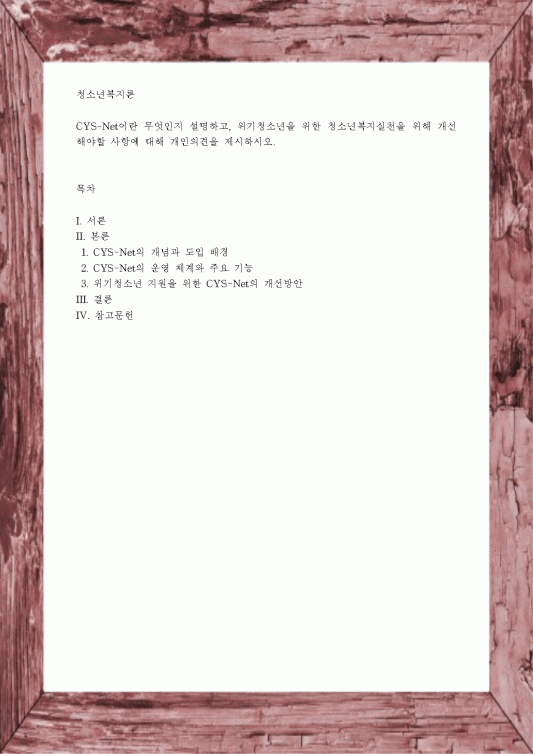 CYS Net이란 무엇인지 설명