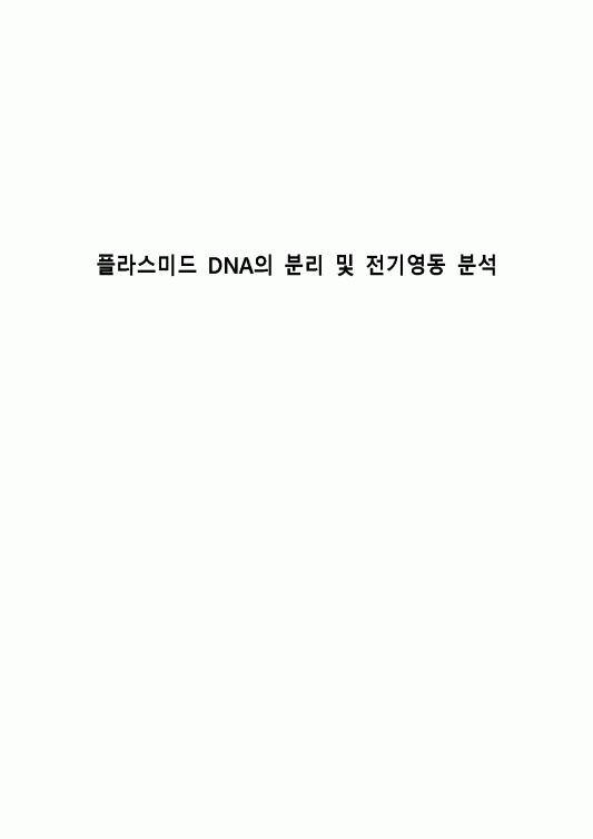 플라스미드 DNA의 분리 및 전기영동 분석