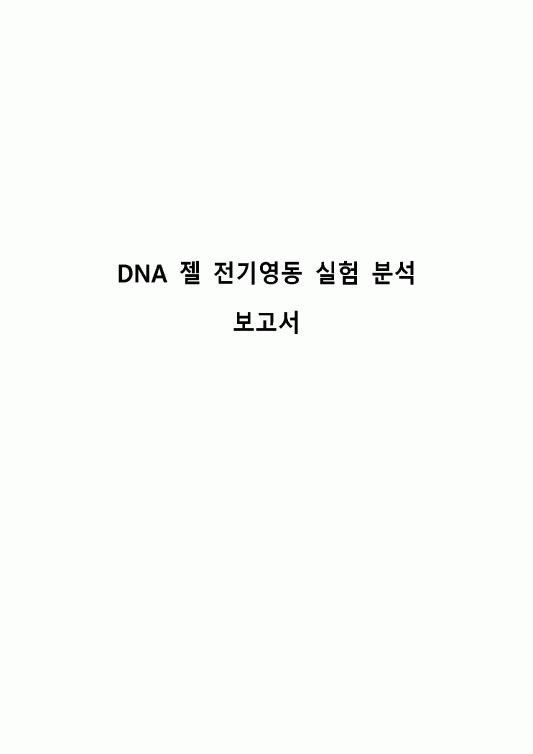 DNA 젤 전기영동 실험 분석 보고서