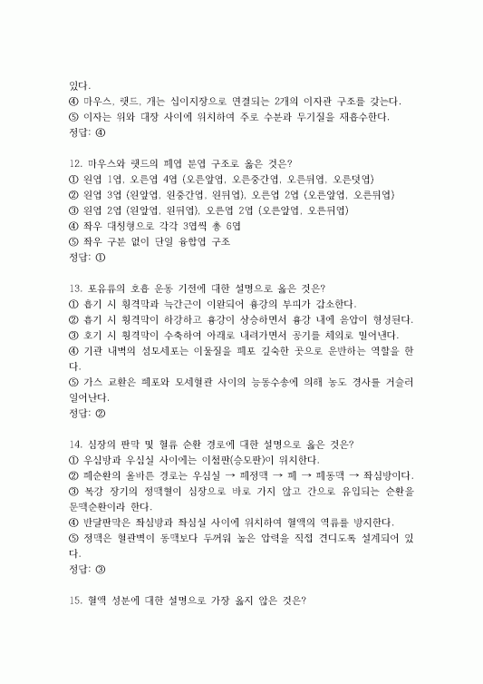 5쪽 미리보기