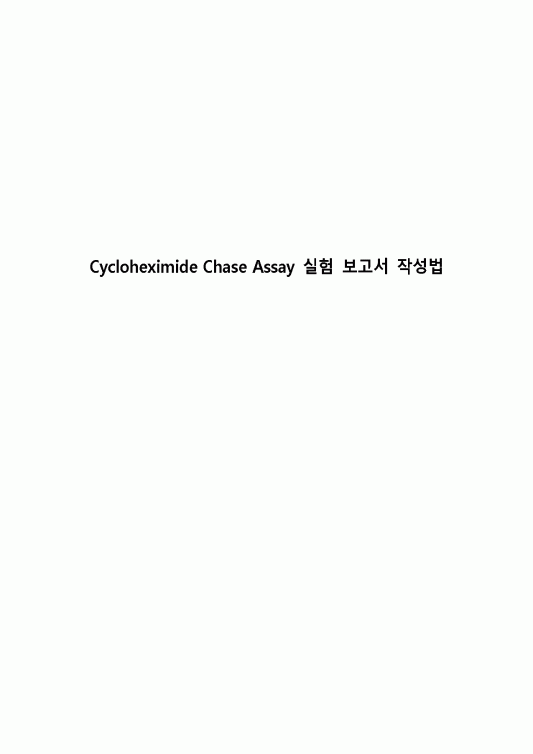 Cycloheximide Chase Assay 실험 보고서 작성법