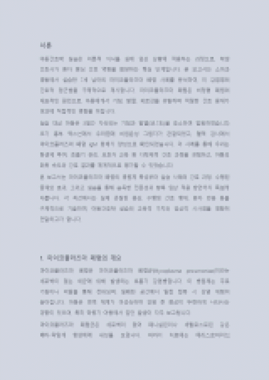 3쪽 미리보기