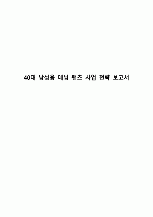 40대 남성용 데님 팬츠 사업 전략 보고서