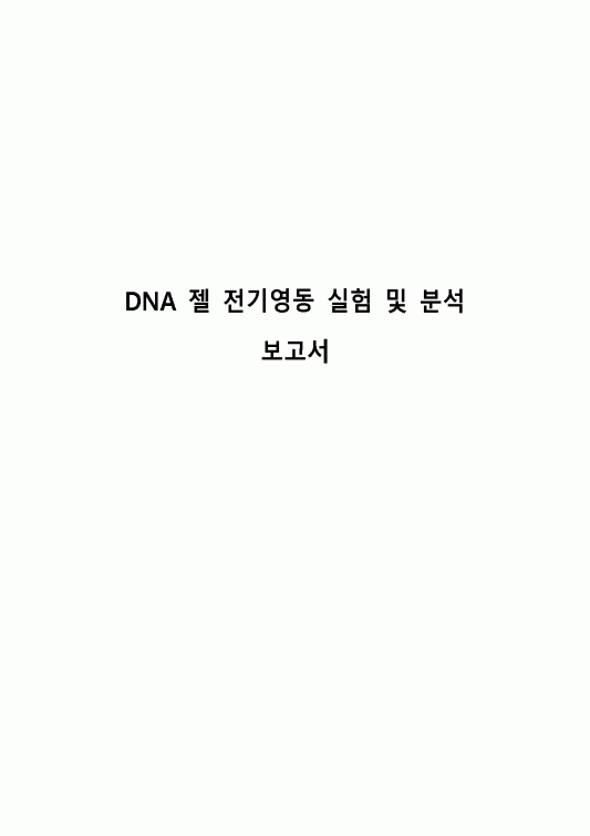 DNA 젤 전기영동 실험 및 분석 보고서