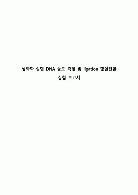 생화학 실험 DNA 농도 측정 및 ligation 형질전환 실험 보고서