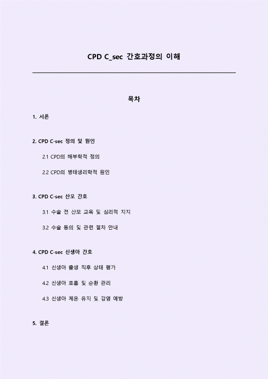 CPD C_sec 간호과정의 이해