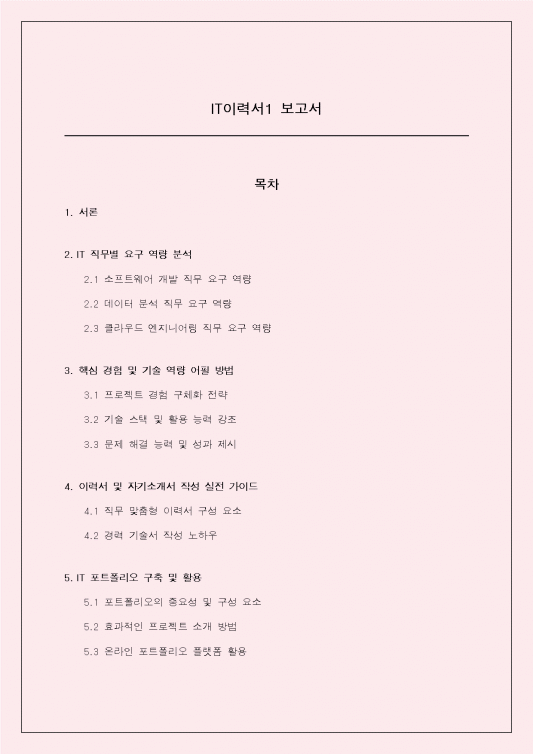 IT이력서1 보고서